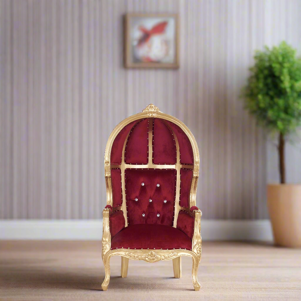 Hooded Mini Canopy Kids Throne Chair – Throne Kingdom